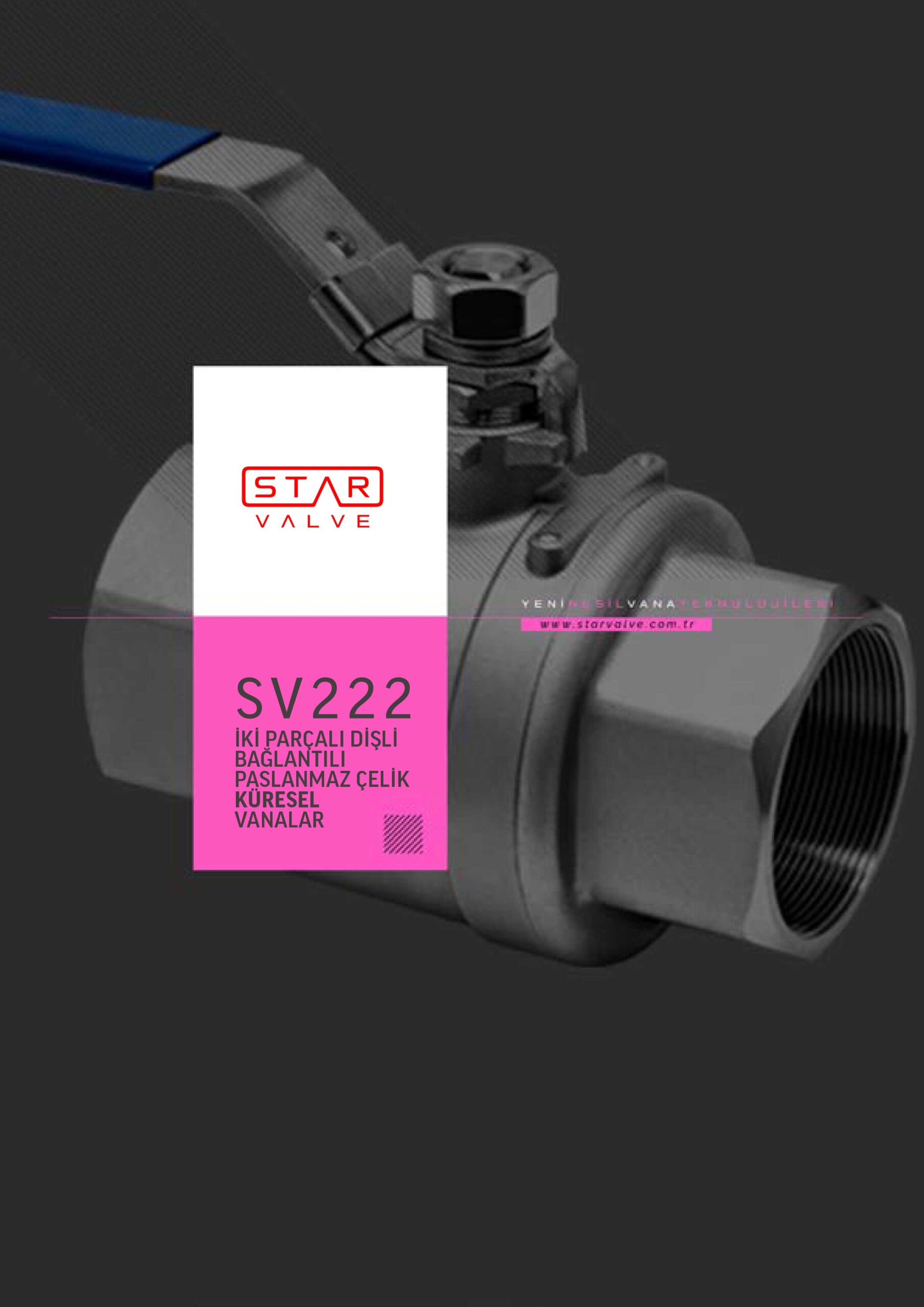 Star Valve - AORA Digital Agency